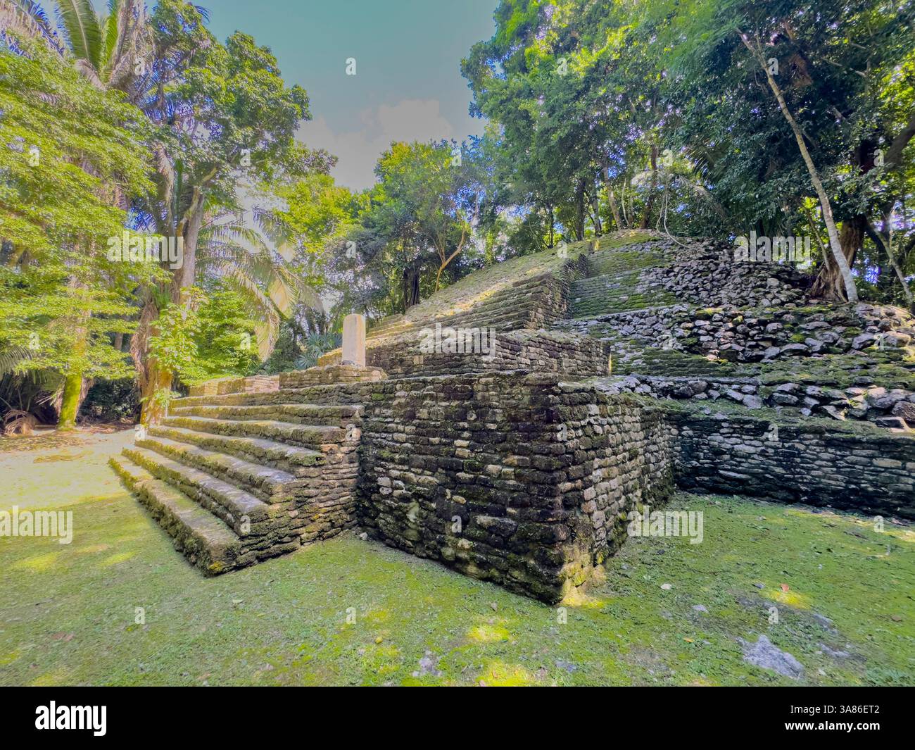 The Temple Stela 9 complex at the Mesoamerican archaeological site of ...