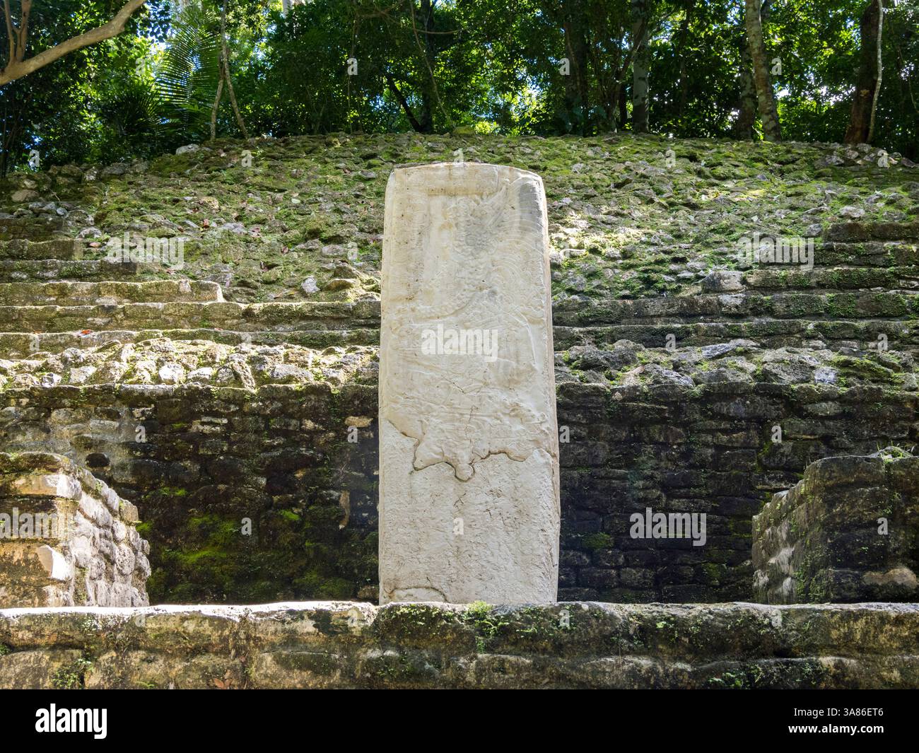 The temple Stela 9 complex at the Mesoamerican archaeological site of ...