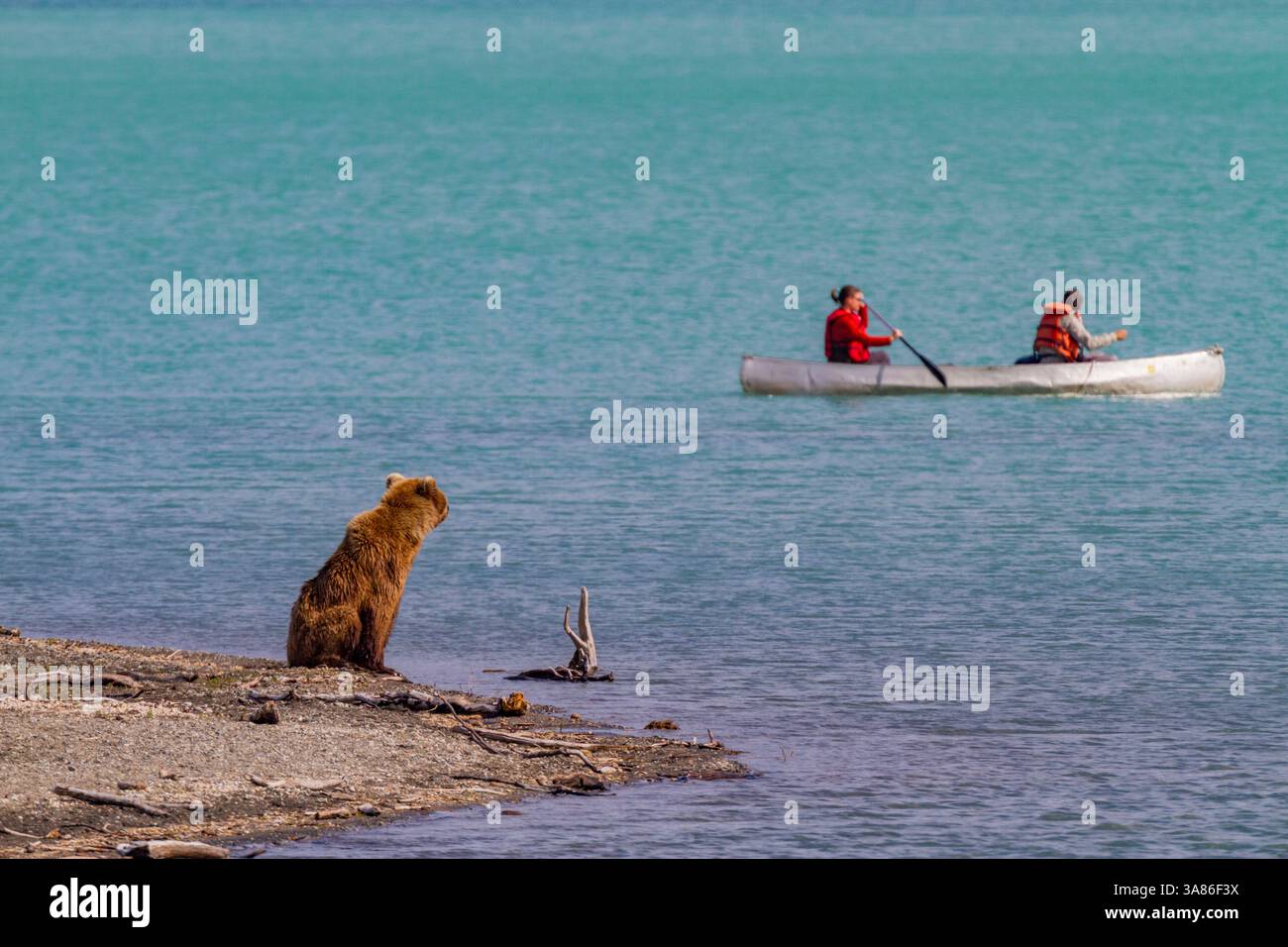 Canoeing brooks river hi-res stock photography and images - Alamy