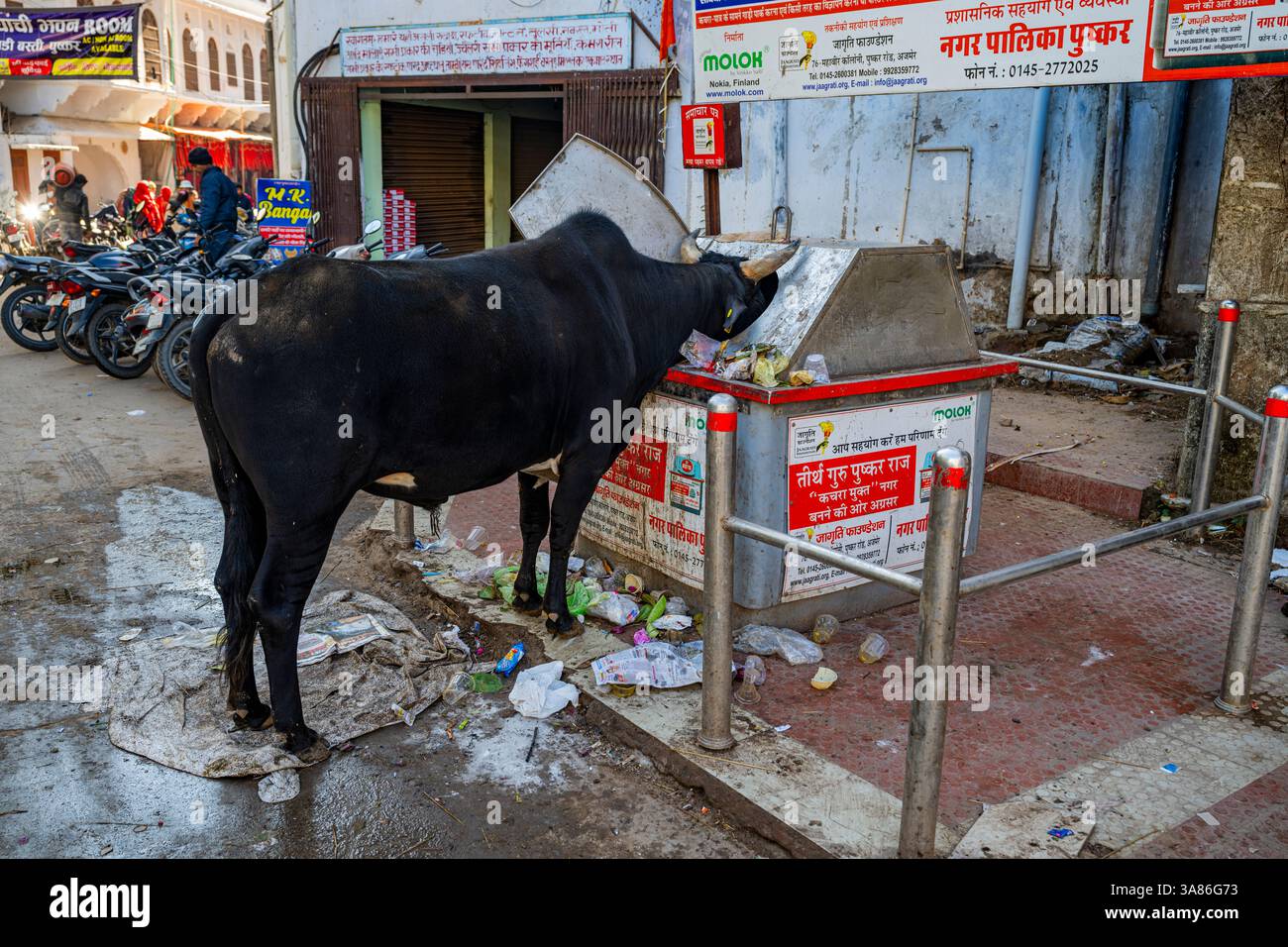 India waste bin hi-res stock photography and images - Alamy