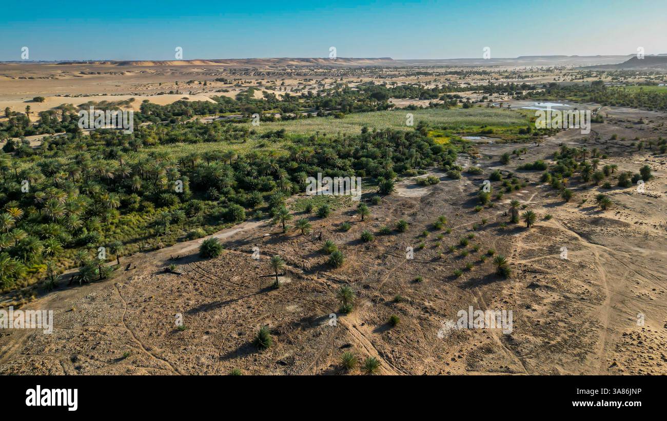 Oasis with palm grove, Tigui, Tibesti Mountains, Chad Stock Photo - Alamy