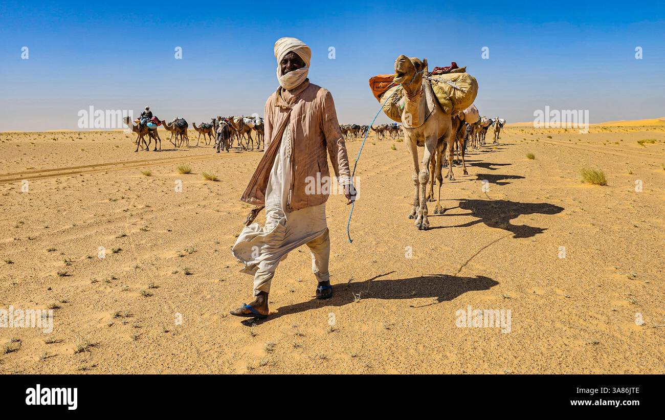 Camel caravan in the Tibesti Mountains, Chad Stock Photo - Alamy
