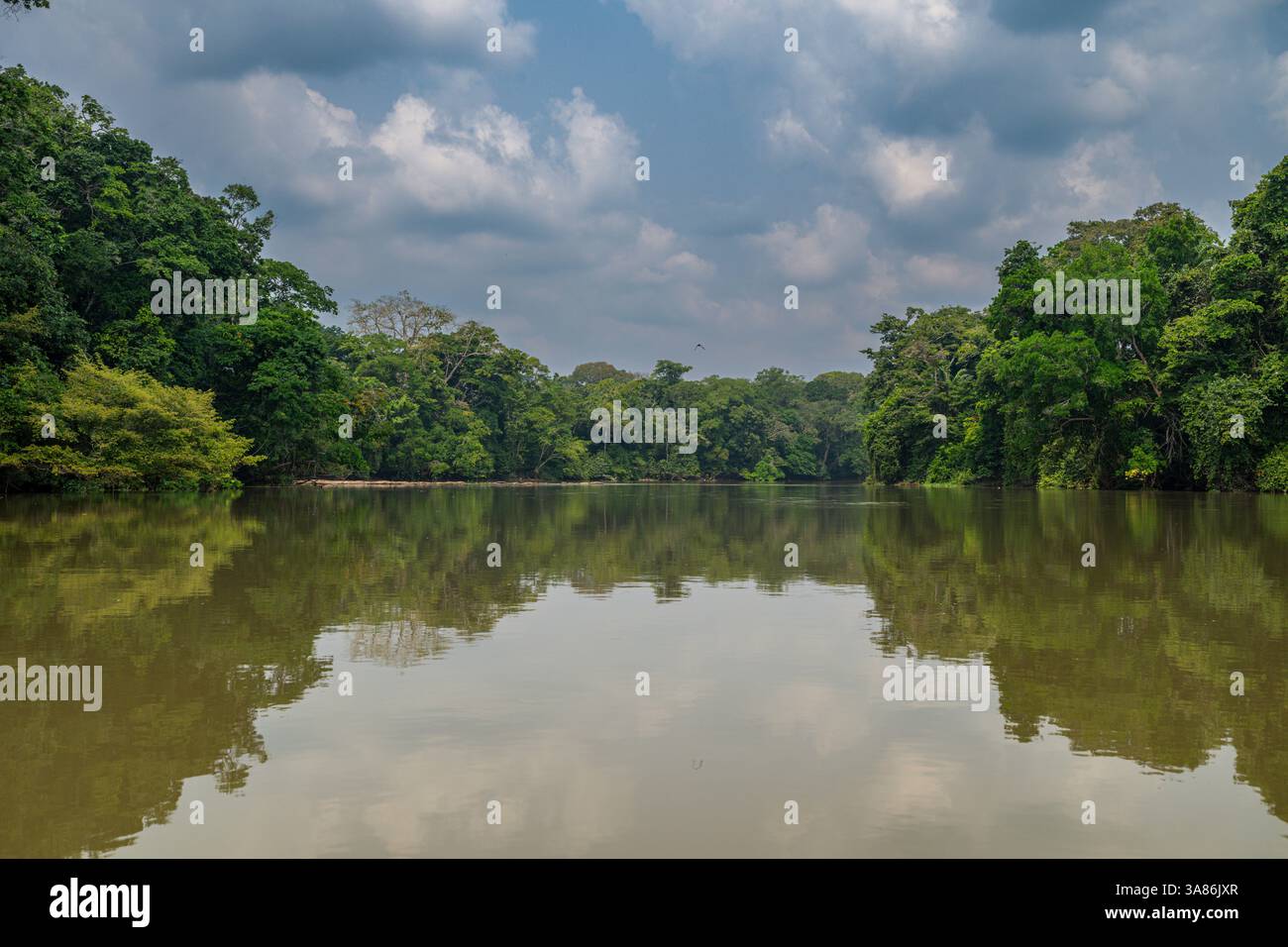 Sangha River in the Trinational Lobeke National Park, Republic of Congo ...