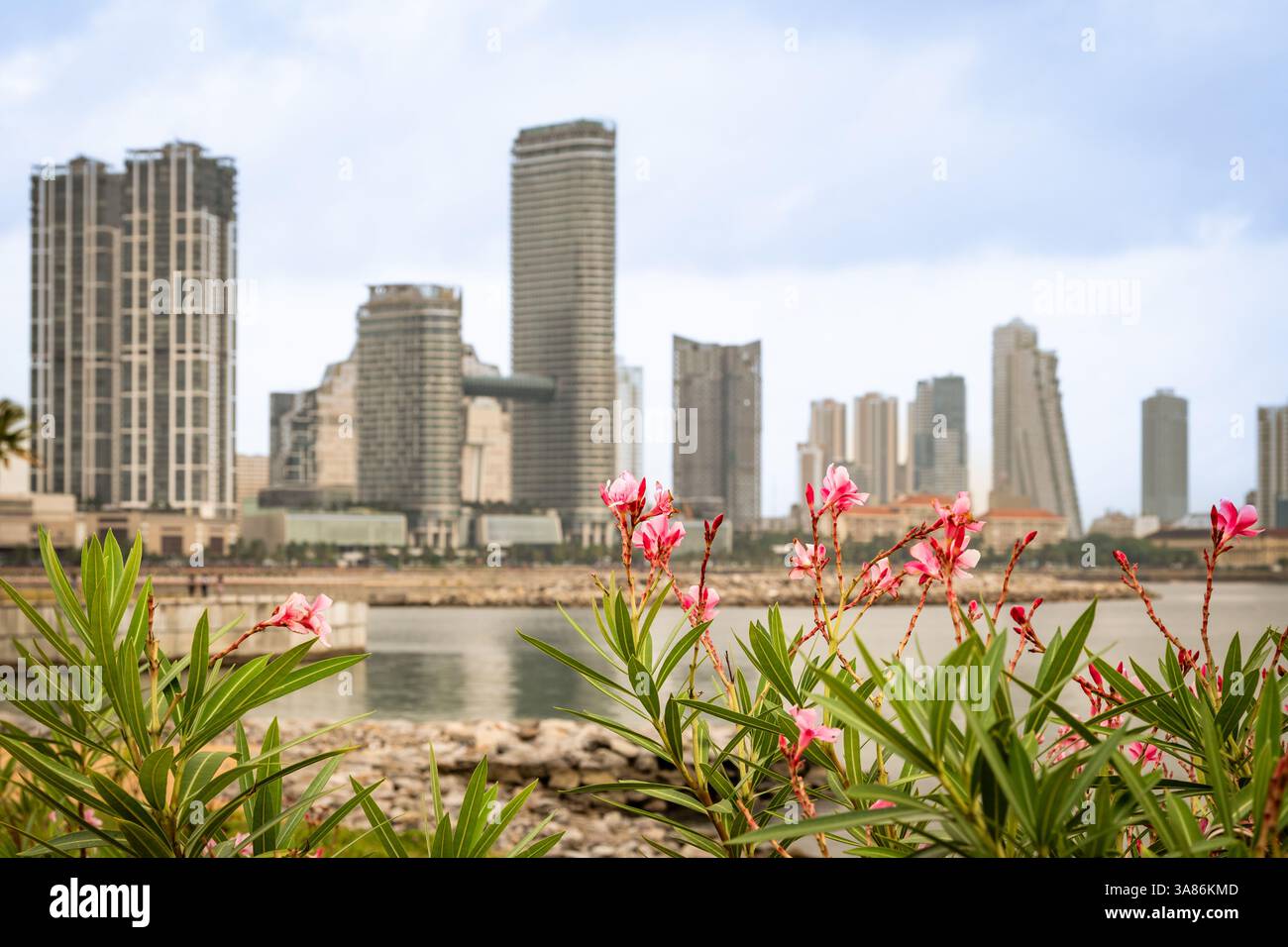 Port City, Colombo, Sri Lanka Stock Photo - Alamy
