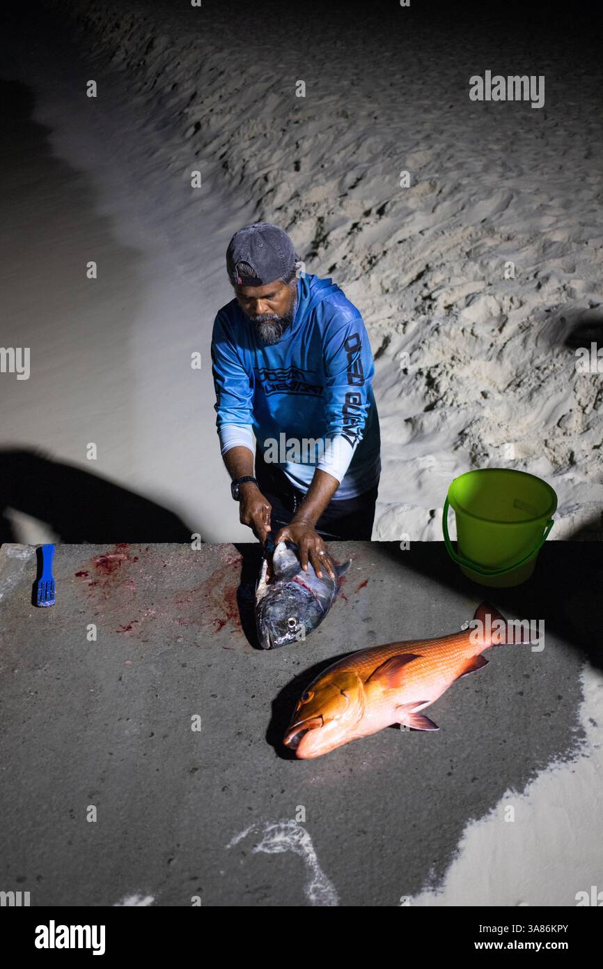 Maldivian fisherman cleaning fish on Fulidhoo island, The Maldives ...