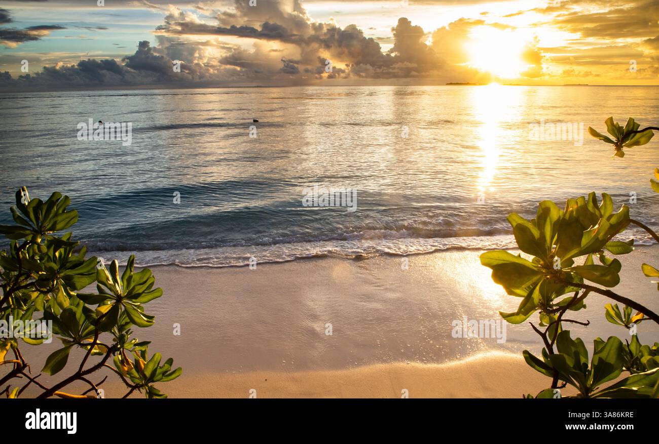 Amazing maldives island panorama hi-res stock photography and images ...