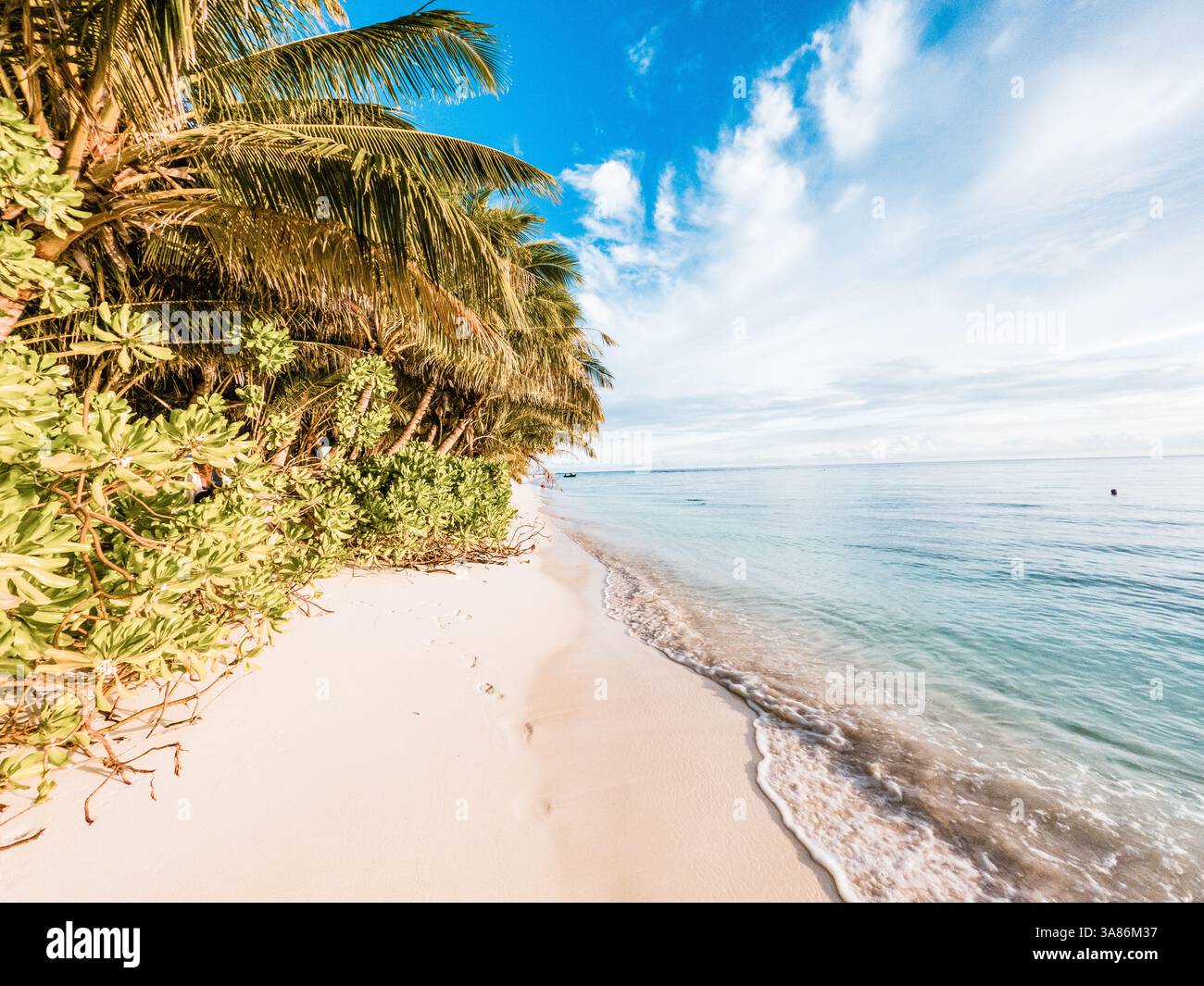 Amazing tropical beach background of white sand and clear blue water ...