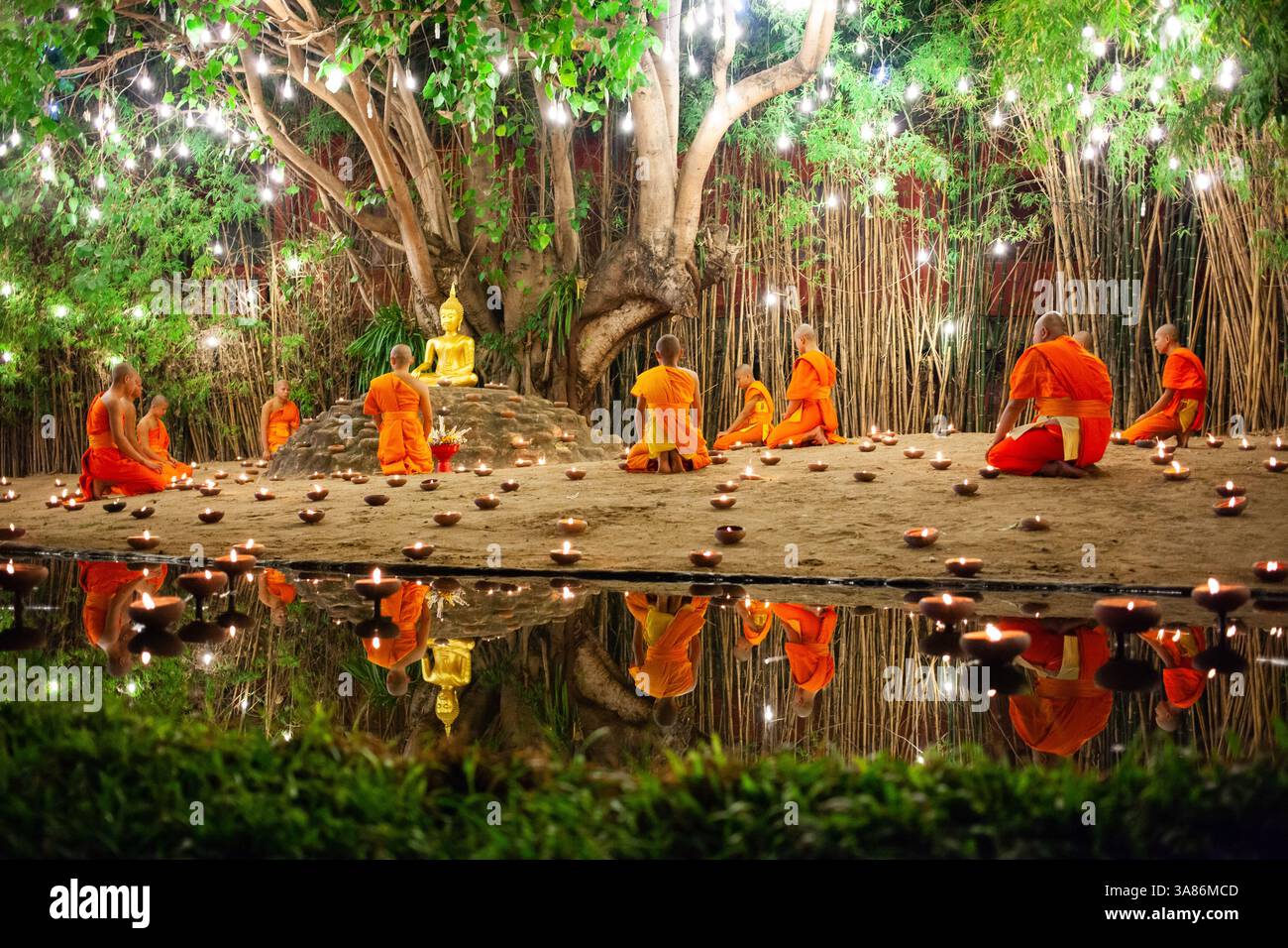 Makha Bucha (Magha Puja) celebrations, monks pray under illuminated ...