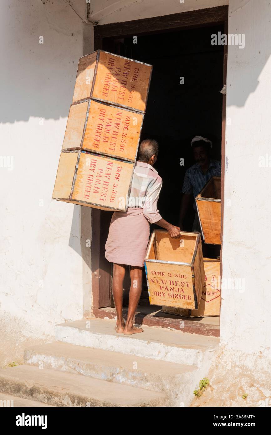 Man carrying wooden chest boxes for packing ginger at a spice market ...