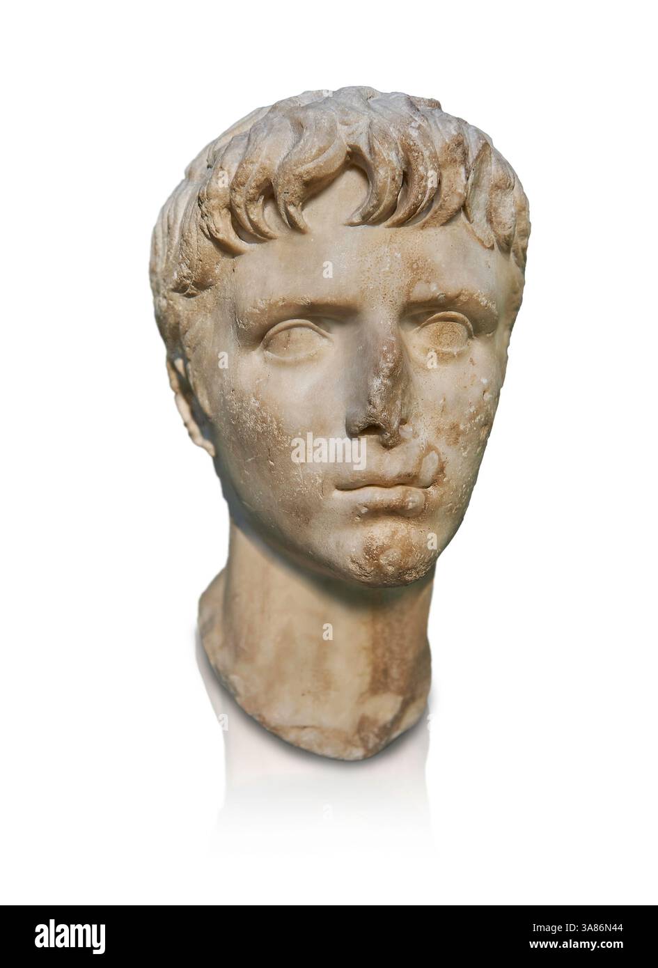 Roman marble statue head of Gaius Caesar, 2BC - 4 AD, from Italy ...