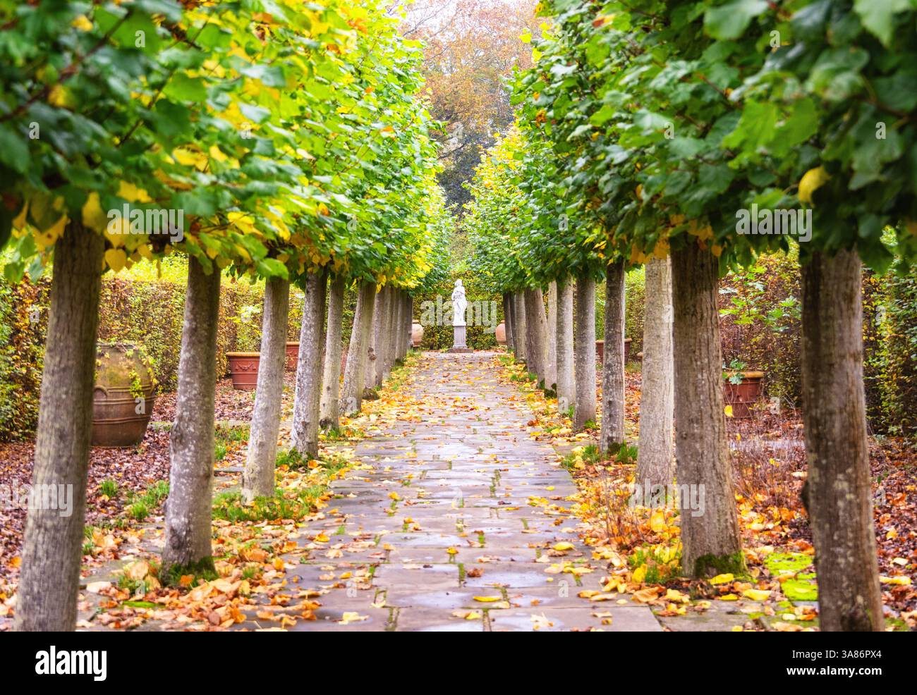 Garden sissinghurst castle lime walk hi-res stock photography and ...