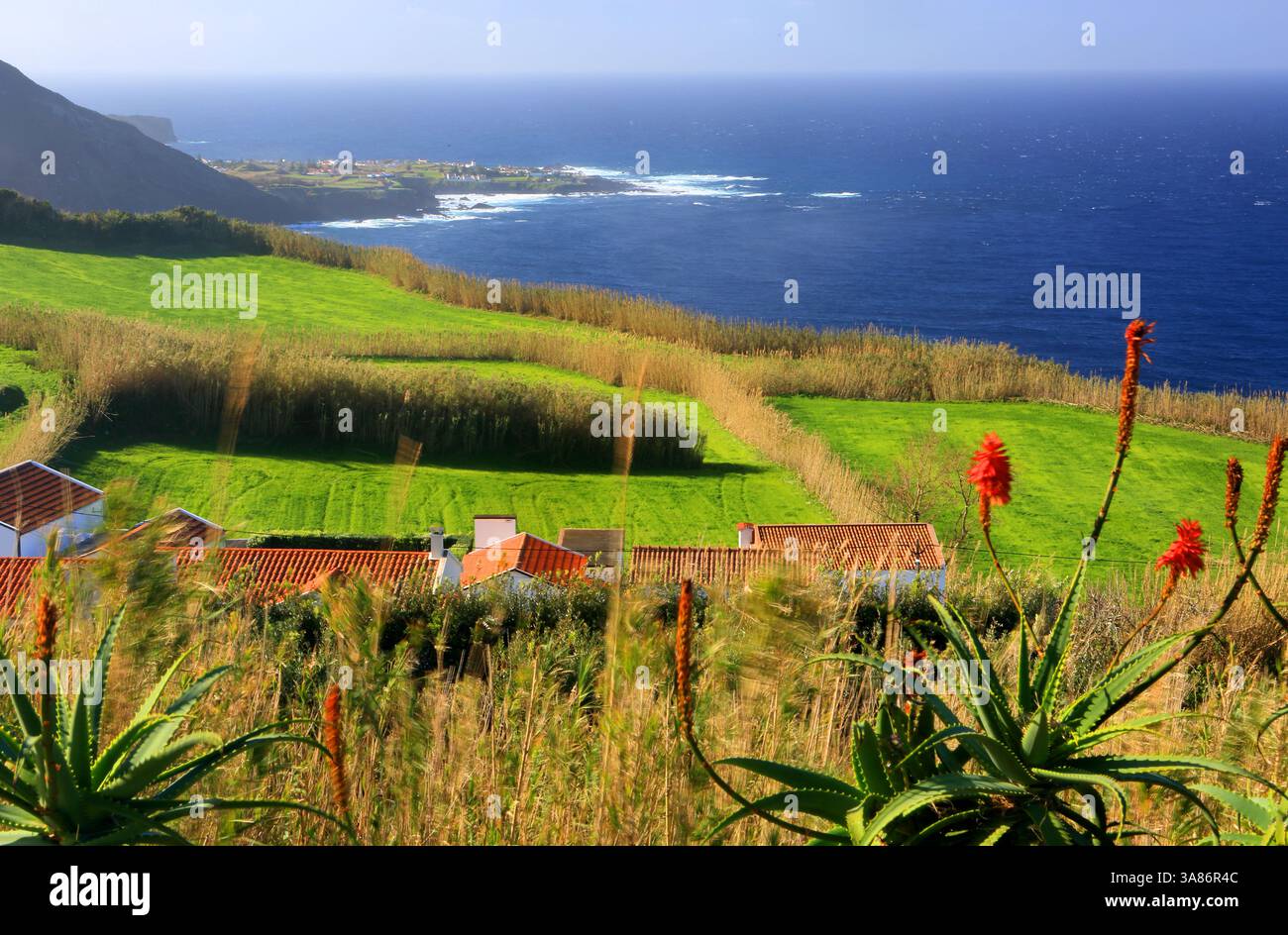 Coastal cliffs sao miguel hi-res stock photography and images - Alamy