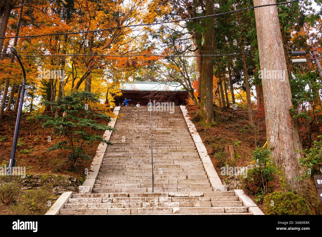 Mount Hiei (Hiei San), stairs leading up to a Shinto Pagoda in an ...