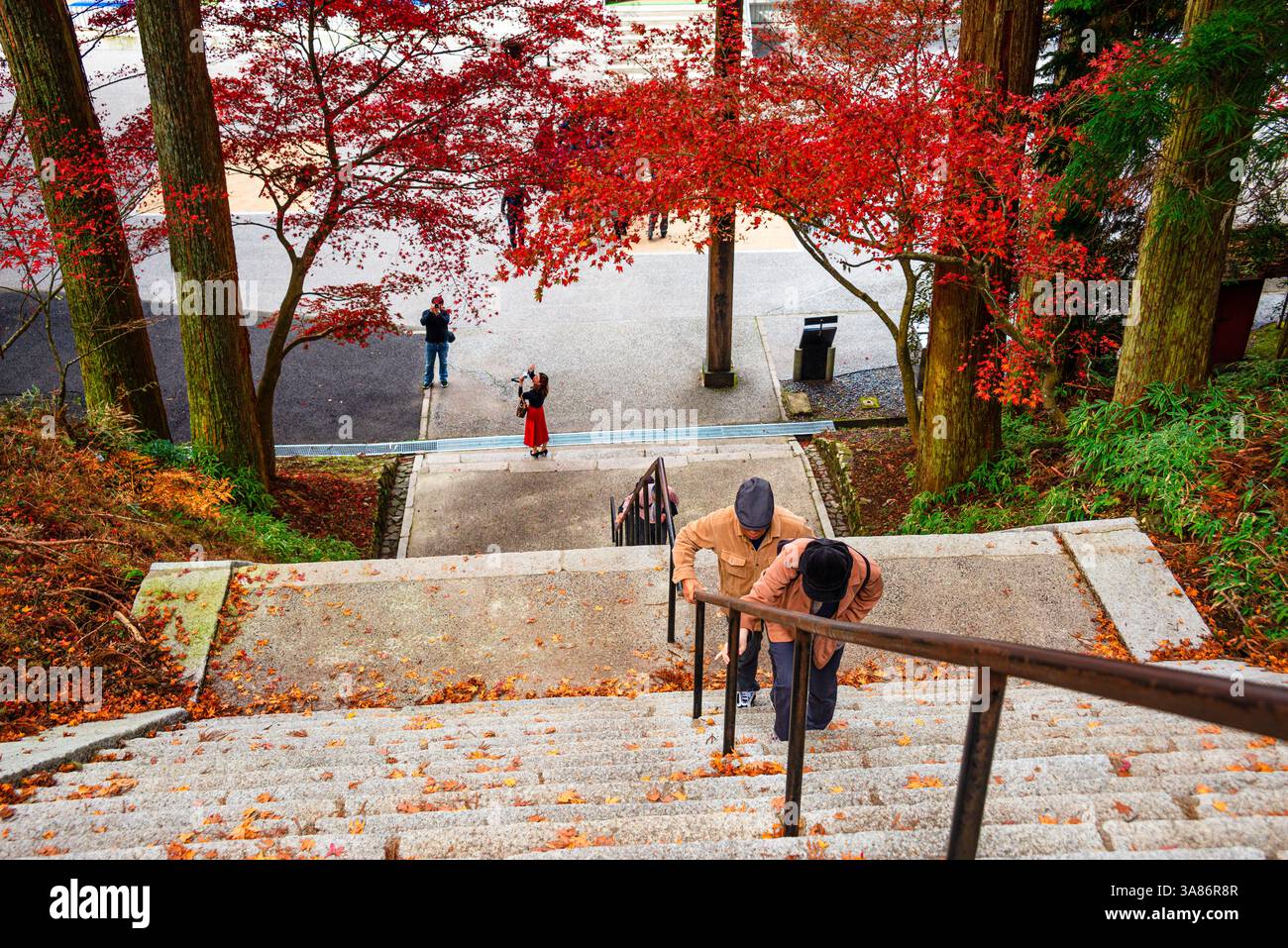 Stairs with visitors and autumnal leaves leading up the HieiSan ...