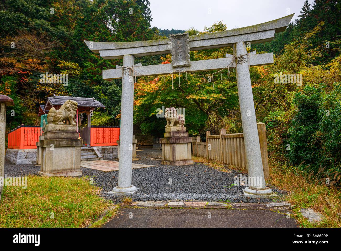 Traditional Shinto torii gate with guardian lion-dog statues surrounded ...