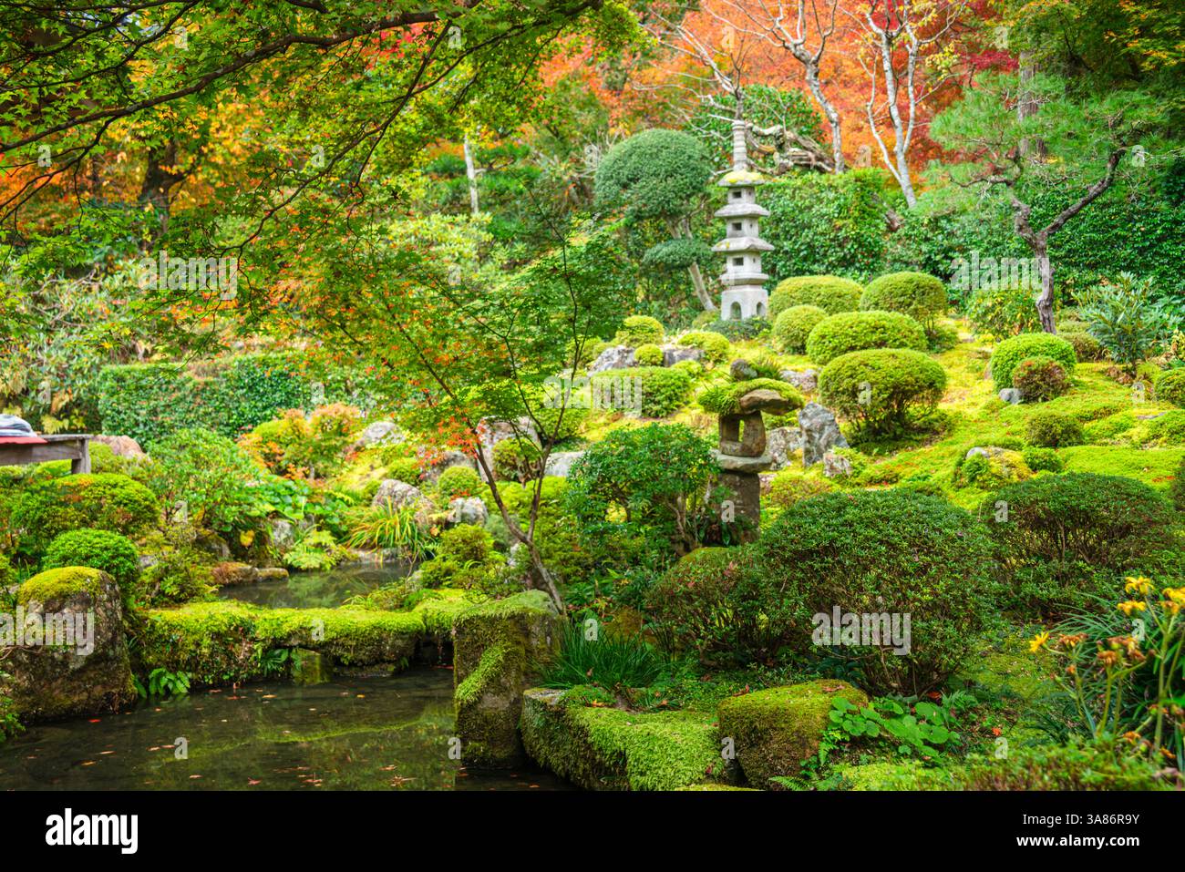 Picturesque view of mossy mounds, stone accents, and tranquil pond in ...