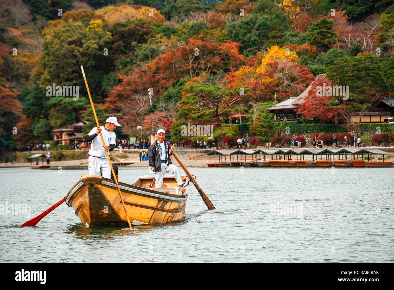 A traditional wooden boat navigates the Katsura River in autumnn in ...