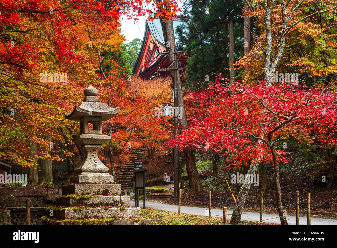 Autumn foliage and red Shinto temple, stone lantern at sacred Mount ...