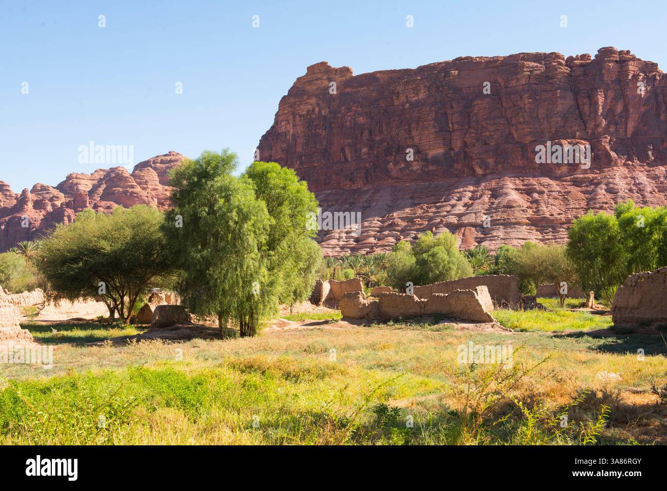 Gardens in the Oasis of AlUla, Medina Province, Saudi Arabia Stock ...