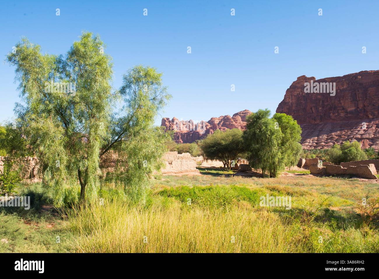 Gardens in the Oasis of AlUla, Medina Province, Saudi Arabia Stock ...