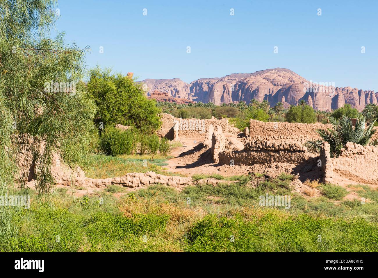 Gardens in the Oasis of AlUla, Medina Province, Saudi Arabia Stock ...