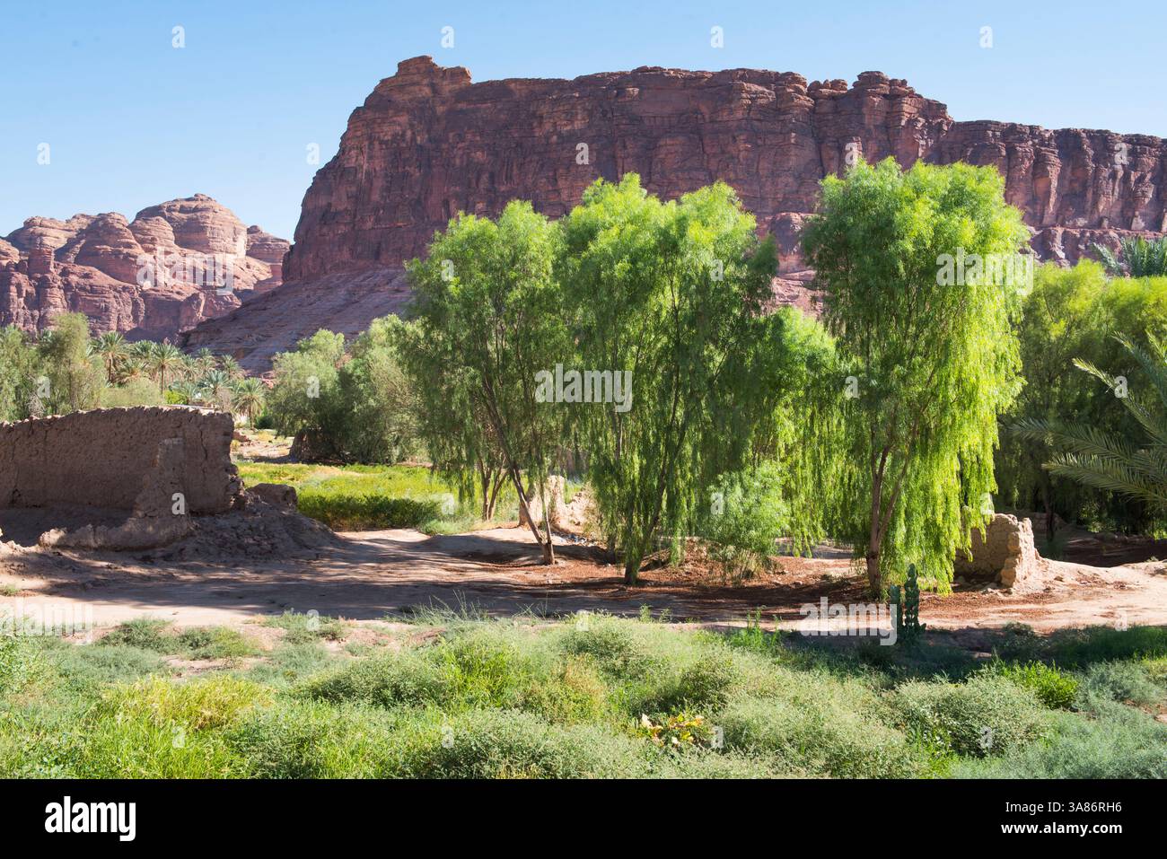 Gardens in the Oasis of AlUla, Medina Province, Saudi Arabia Stock ...