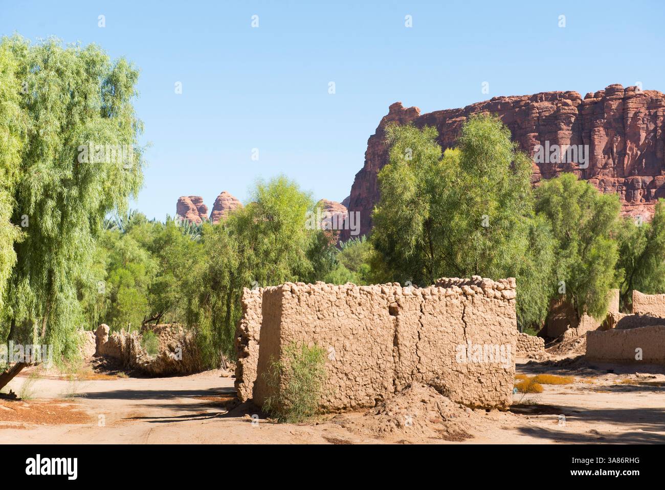 Gardens in the Oasis of AlUla, Medina Province, Saudi Arabia Stock ...