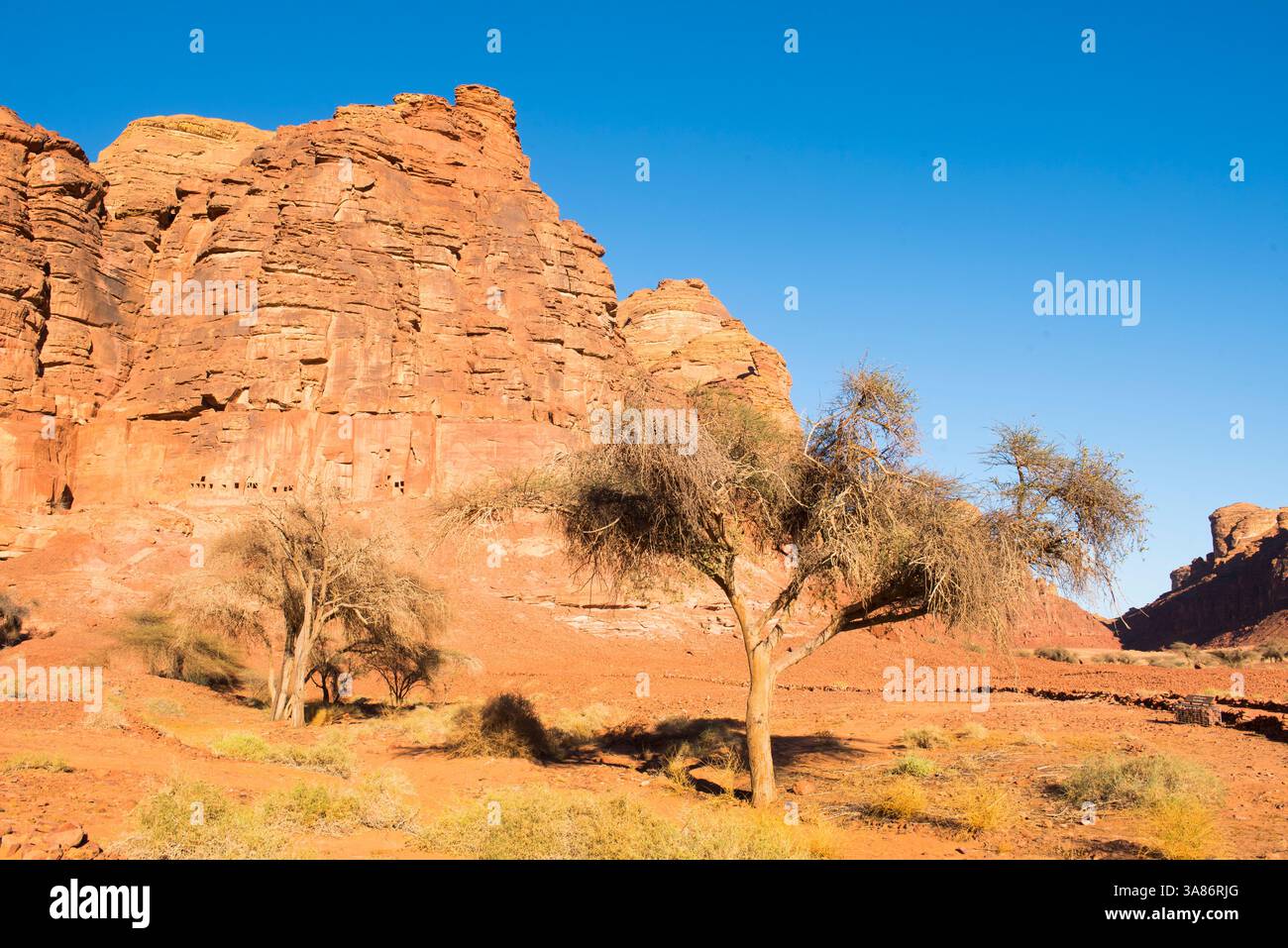 Archaeological site of Dadan, ancient capital of the Dadan And Lihyan ...