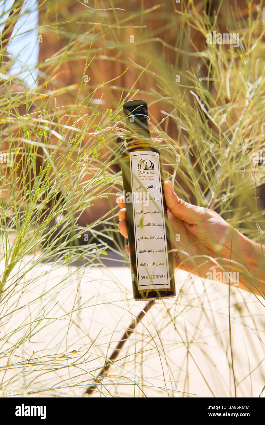 Bottle of Moringa oil in Moringa peregrina tree at Our Habitas AlUla ...
