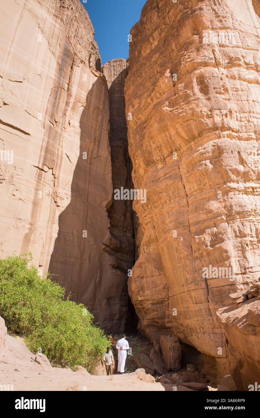 People watching Arak tree (Salvadora persica) at the foot of a fault in ...