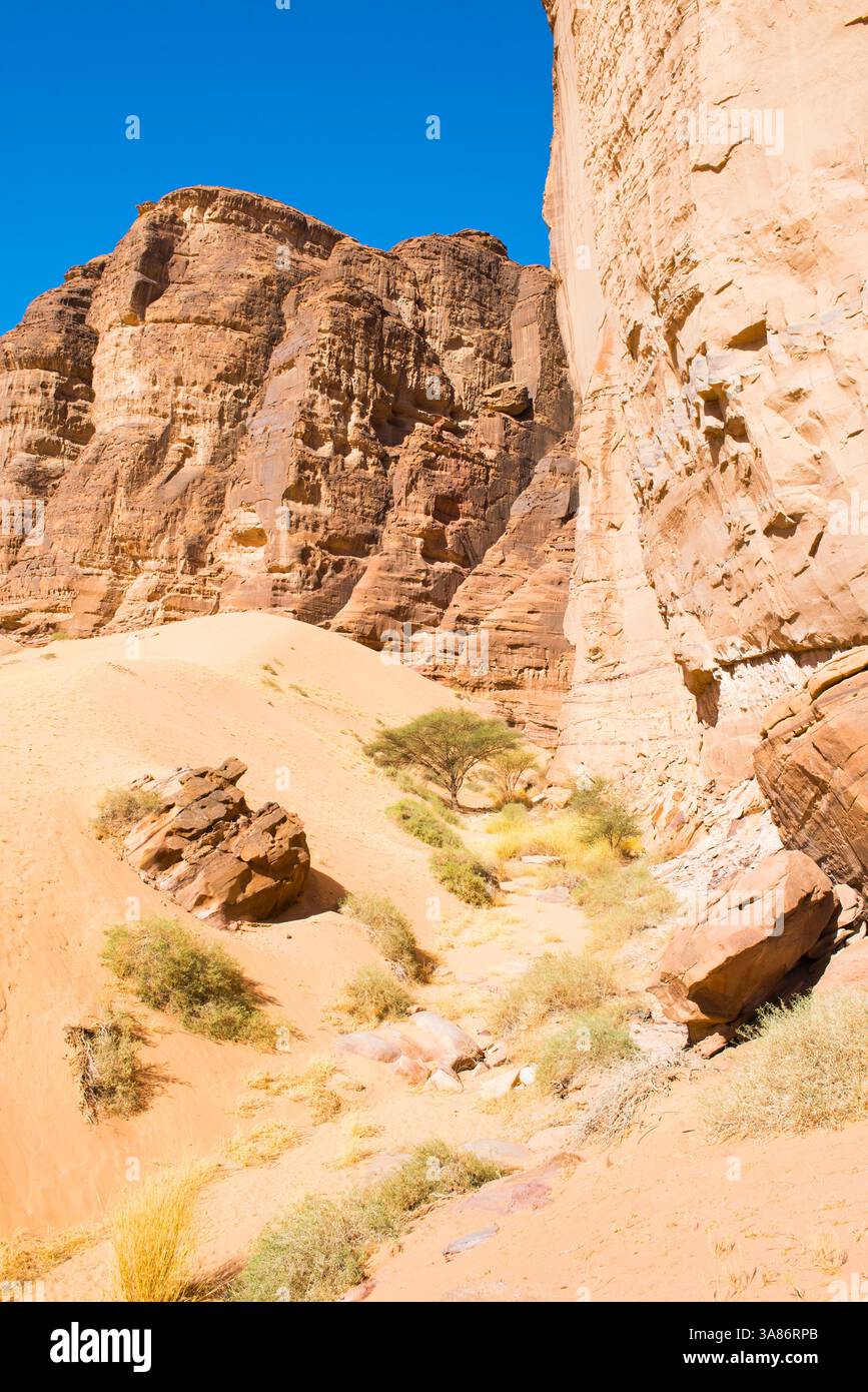 Sharaan Nature Reserve, AlUla, Medina Province, Saudi Arabia Stock ...