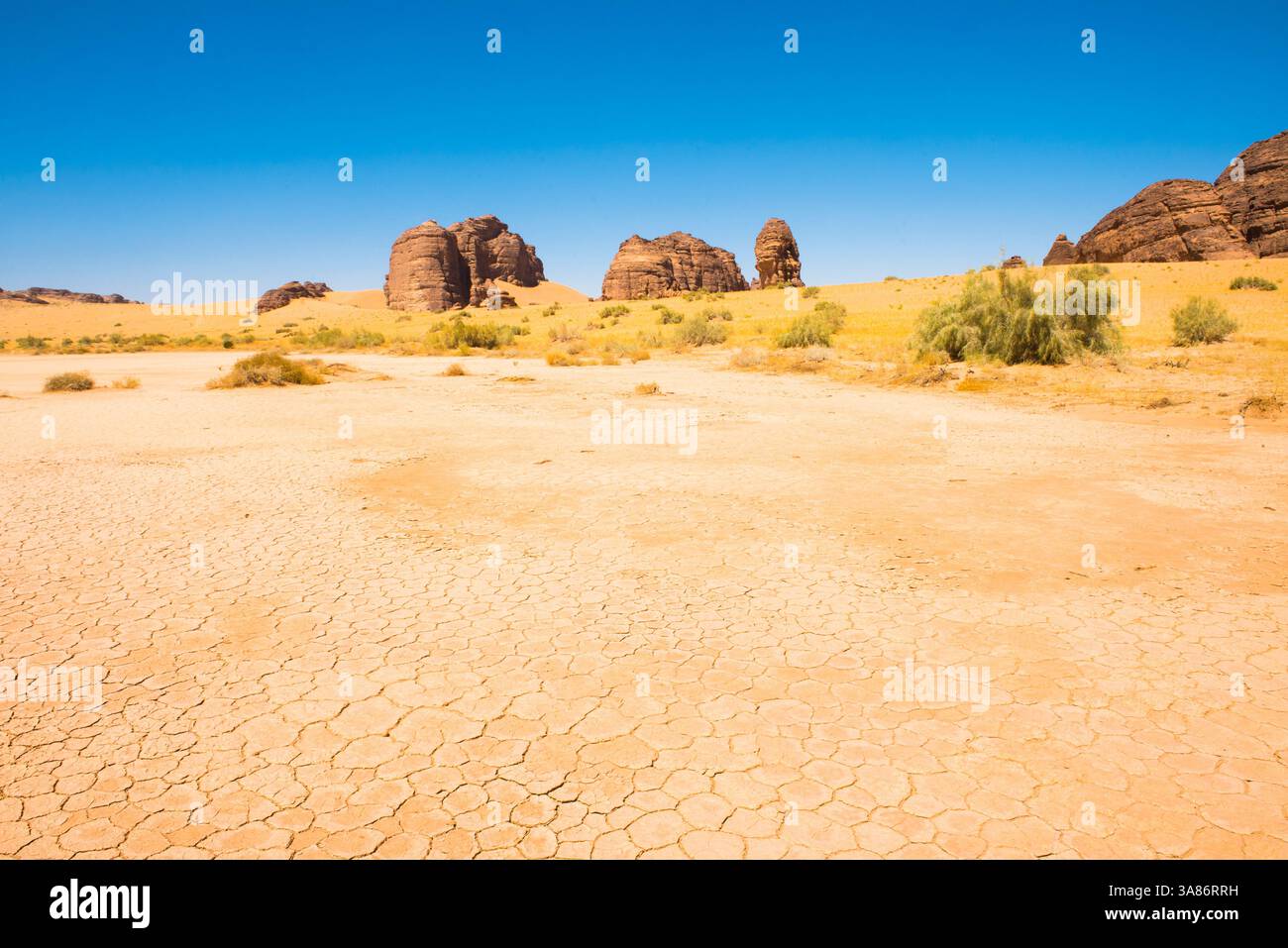 Large dry salt lake in the Sharaan Nature Reserve, AlUla, Medina ...