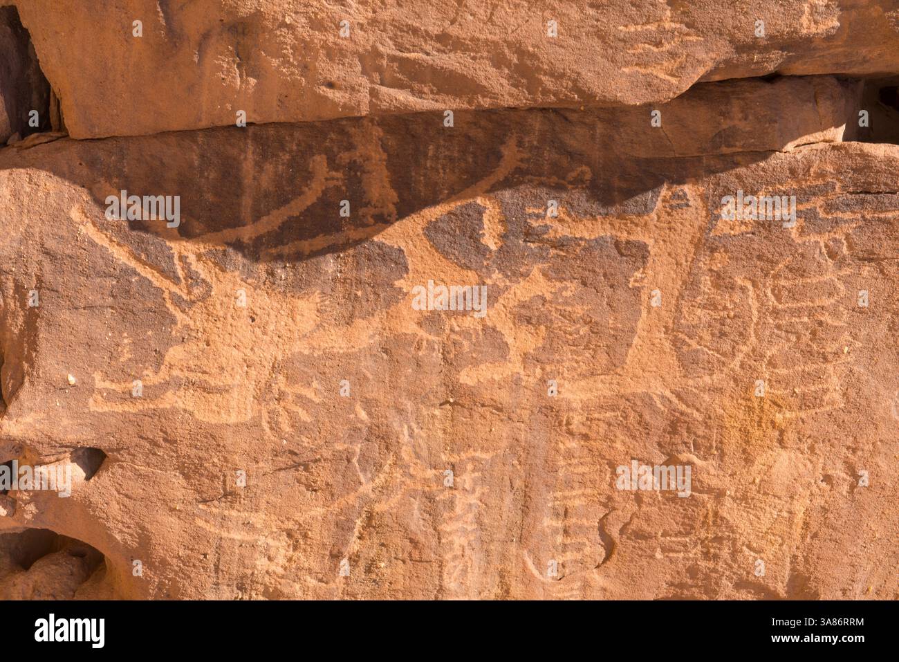 Ancient symbols and rock carvings on a sandstone rock cliff in the ...