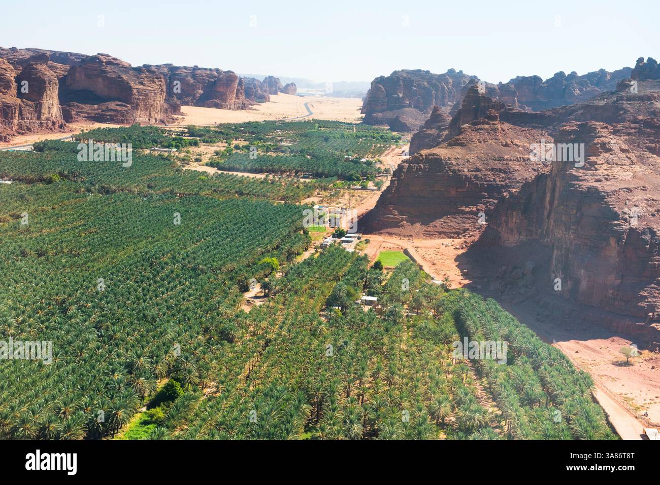 Aerial view of Palm grove and farms in the oasis of AlUla, Medina ...