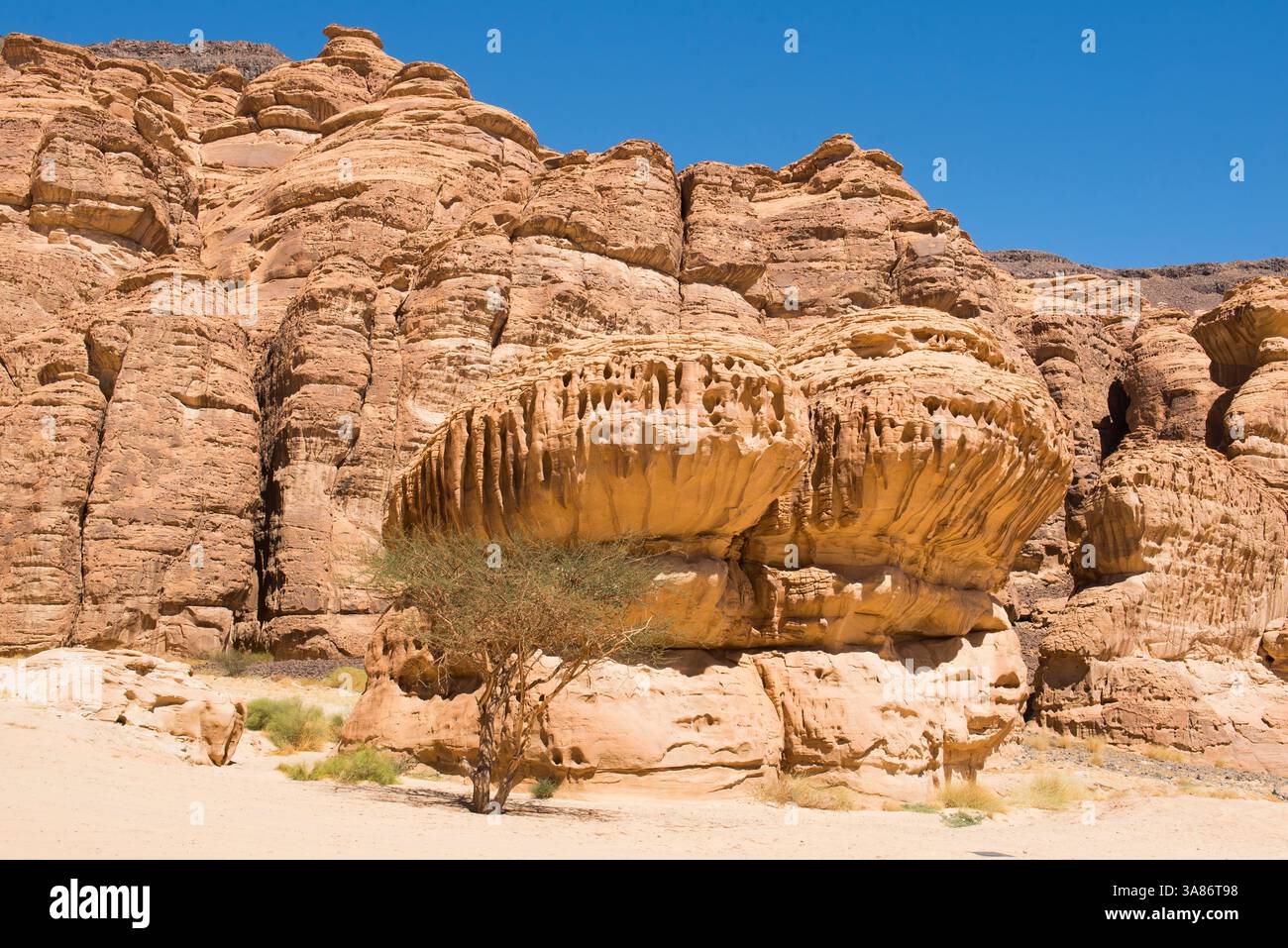 Remarkable sandstone rock carved by erosion in the Ashar Valley, AlUla ...