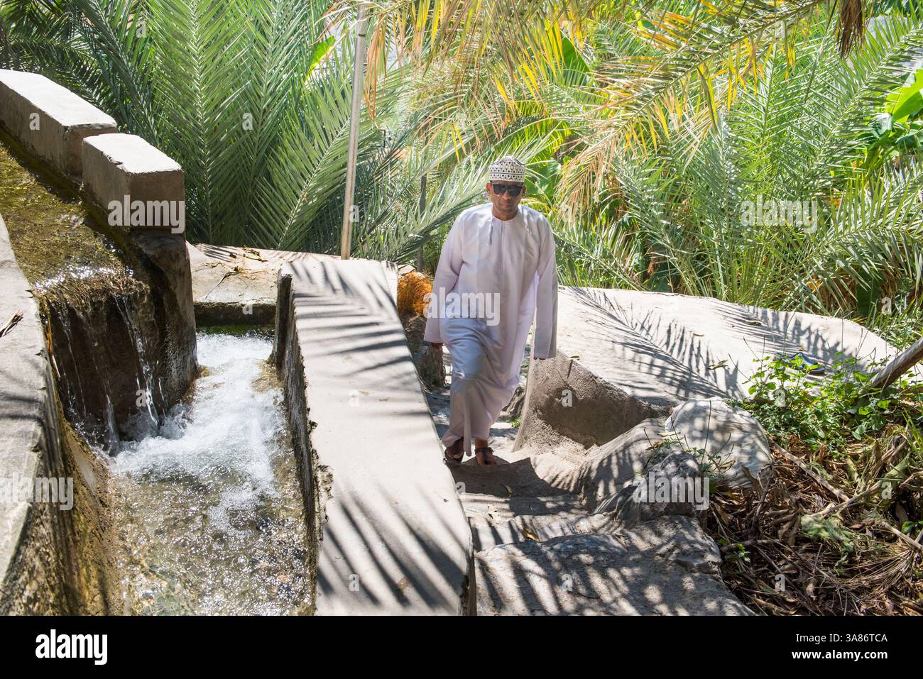 Man walking along irrigation canals (Falaj) to supply the palm grove ...