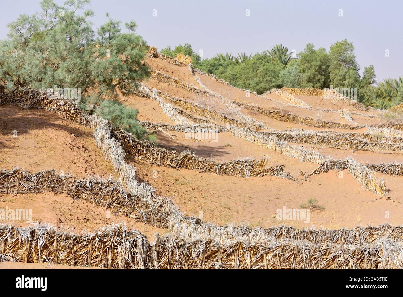 Water management system in the desert hi-res stock photography and ...