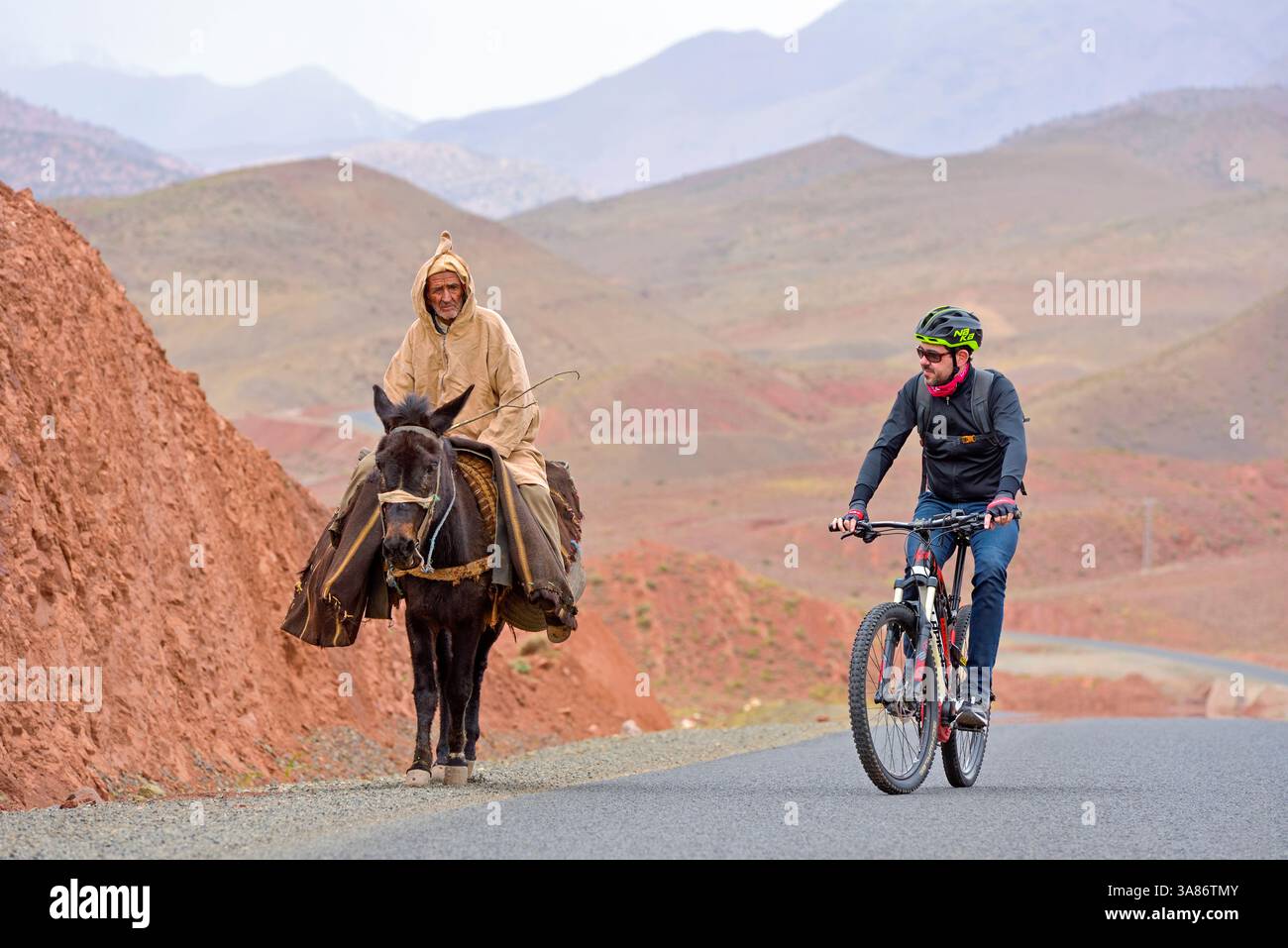 Old man on mule and cyclist with mountain pedelec on road from Tizi n ...
