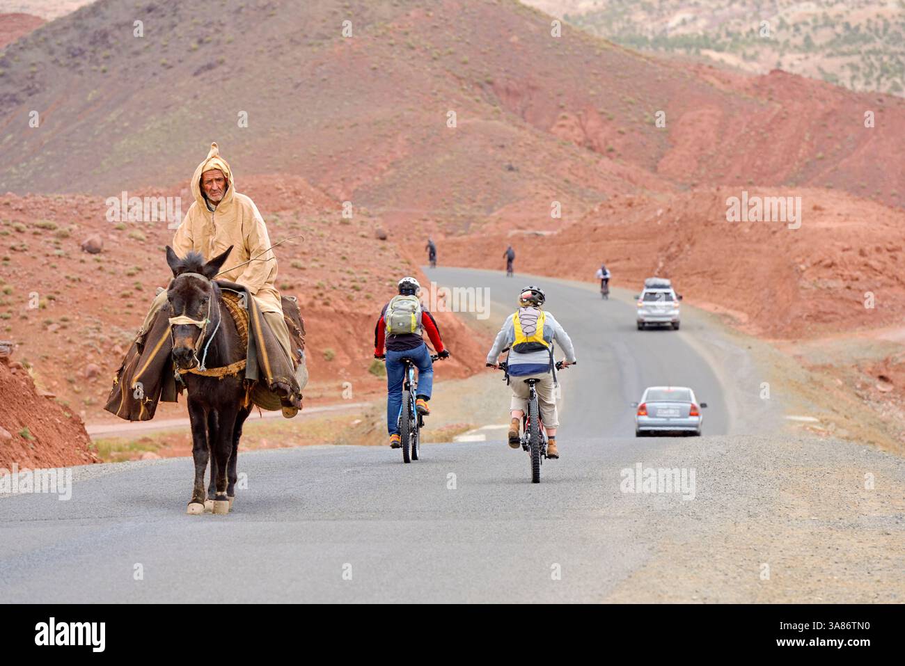 Old man on mule and cyclists with mountain pedelec on road from Tizi n ...