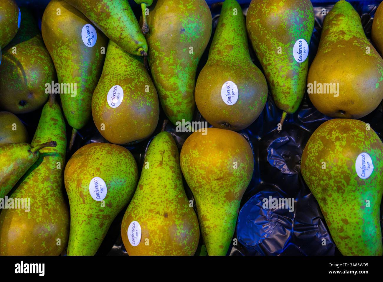 France conference culture hi-res stock photography and images - Alamy