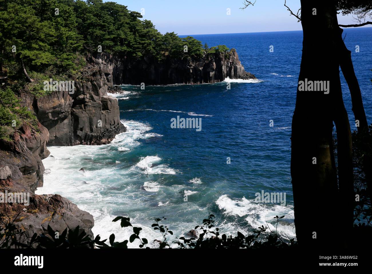 Coastal scenery at Jogasaki, Izu Peninsula, Honshu, Japan Stock Photo ...