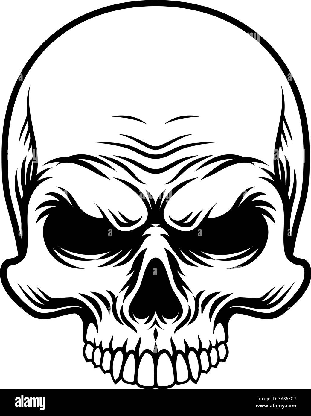 Skeleton drawing clipart vintage Black and White Stock Photos & Images ...