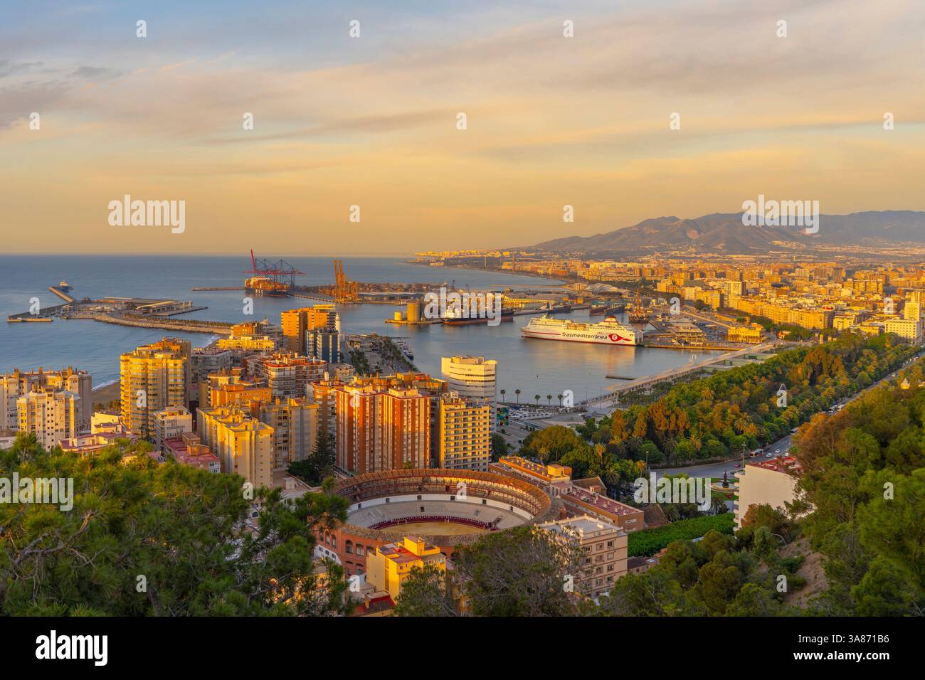 Malaga palm waterfront view hi-res stock photography and images - Alamy