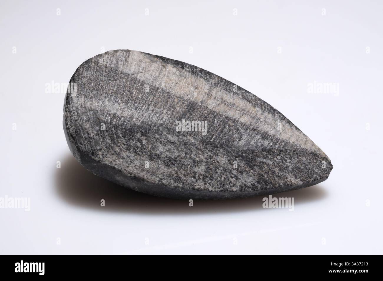 Ancient Trilobite Fossil Displaying Distinct Textured Rock Surface ...