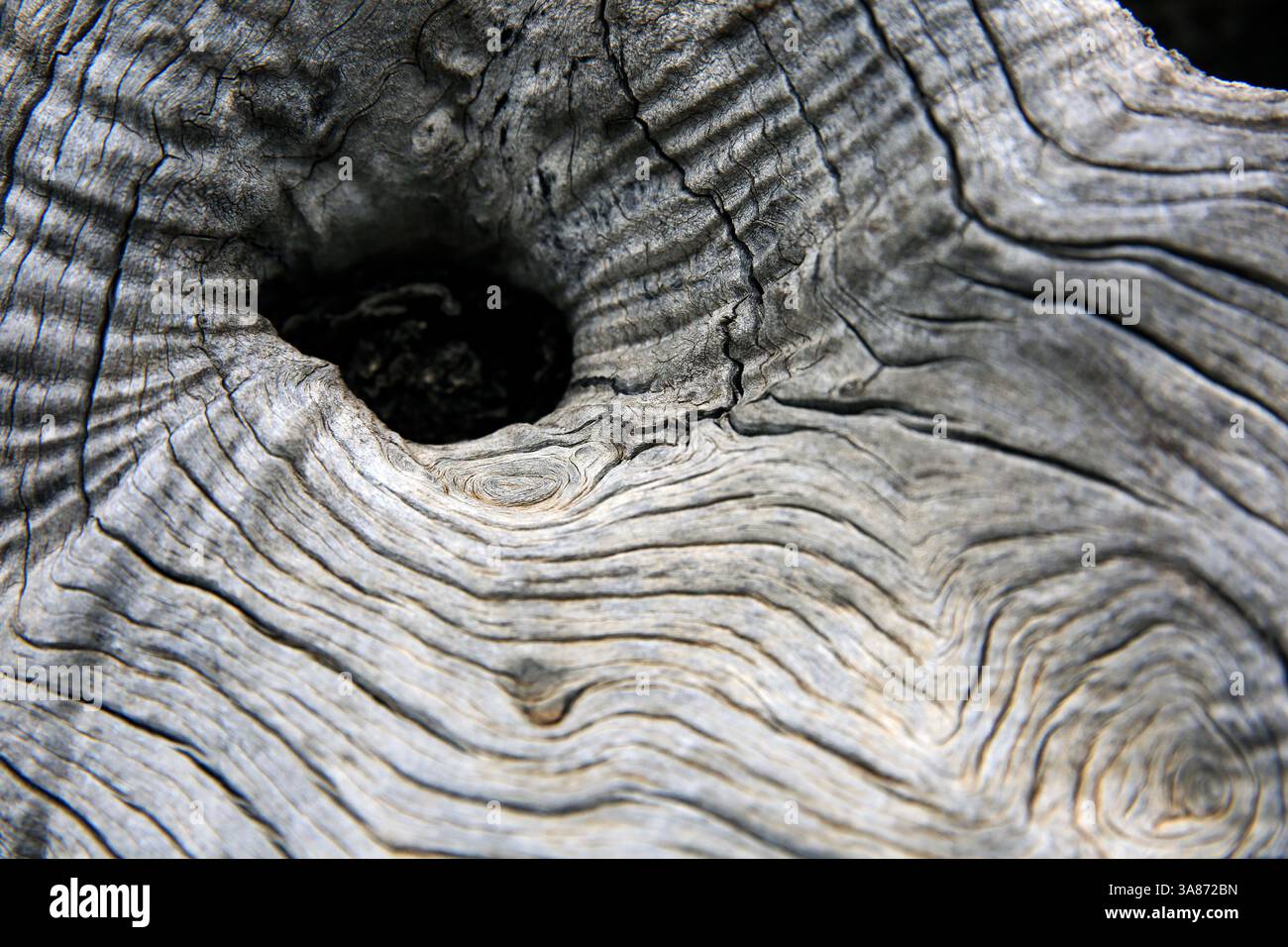 Rock climber in action on the world-famous limestone cliffs of Chulilla ...