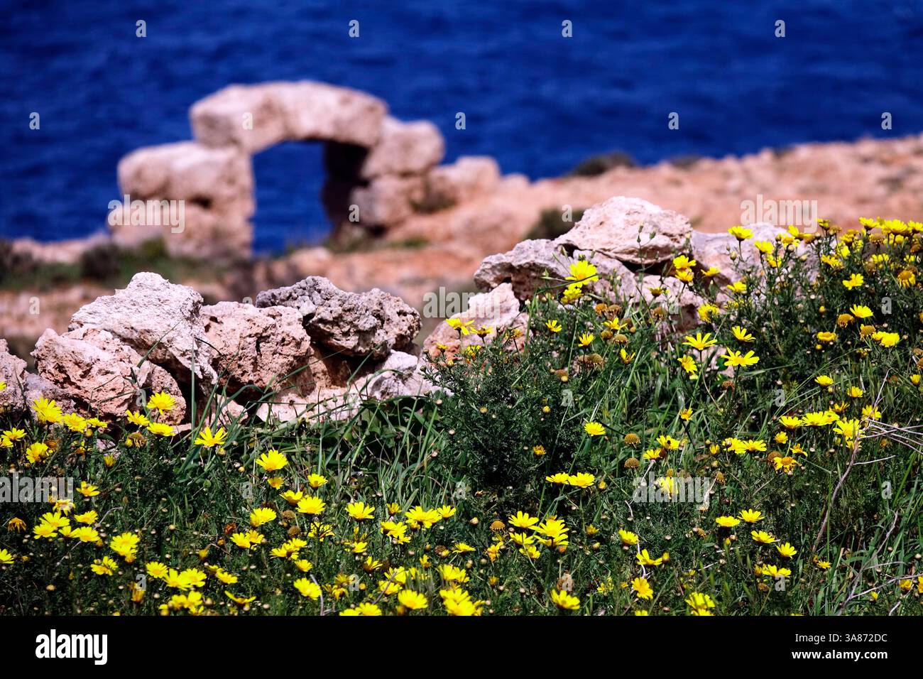 Scenery on the island of Malta Stock Photo - Alamy