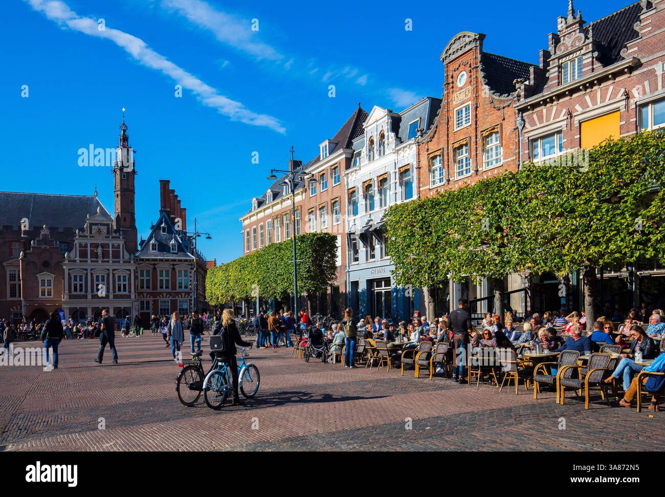 Haarlem atmosphere hi-res stock photography and images - Alamy
