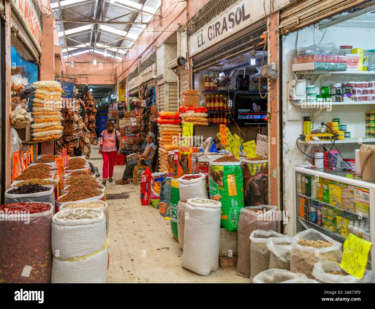 Interior of Mercado Municipal Lucas de Galvez market, Merida, Yucatan ...