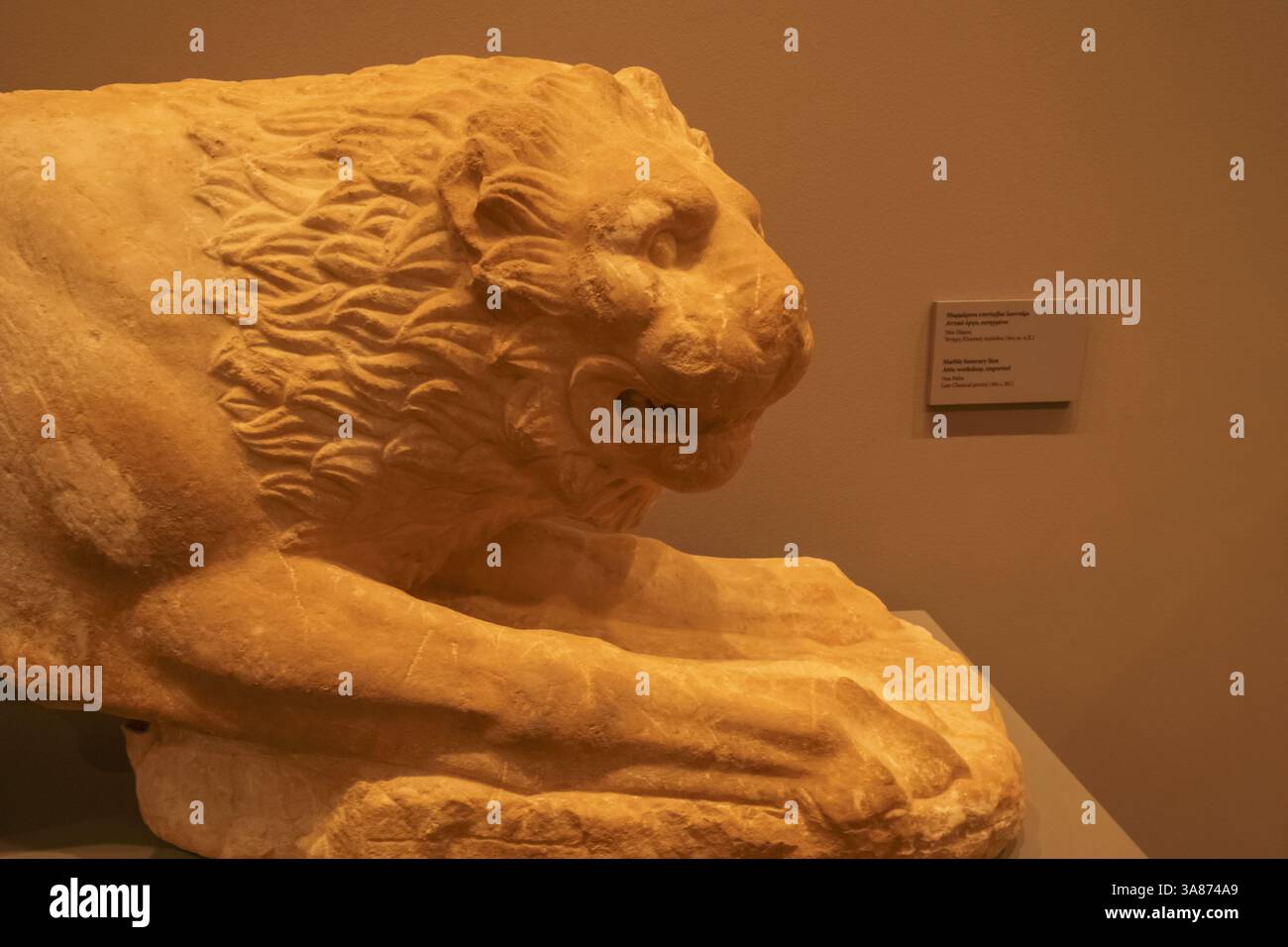 Cyprus, Paphos, Archaeological Museum of Paphos District, Display of a ...