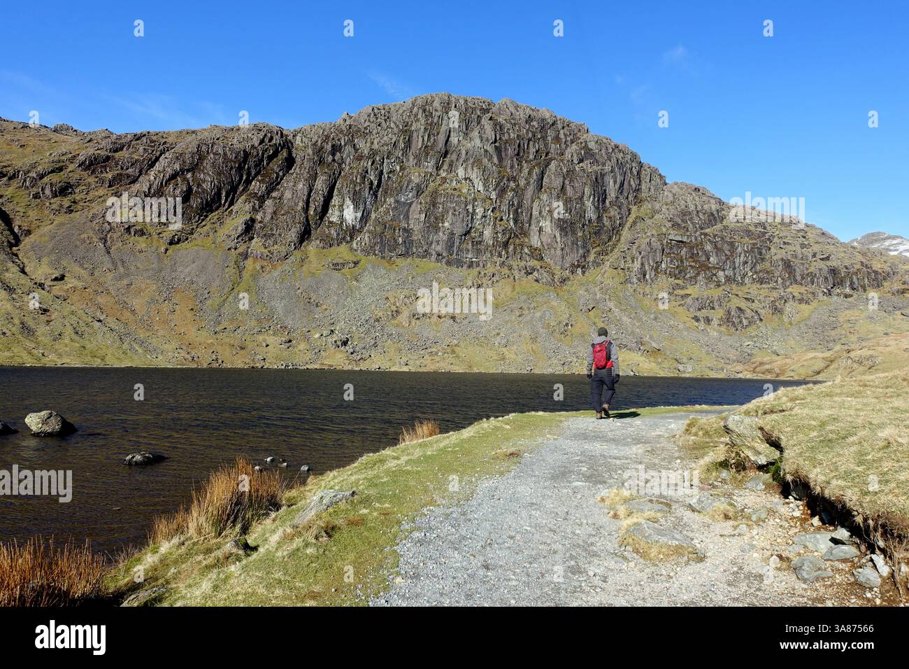 Man (Hiker) Walking on Path by Stickle Tarn to the Wainwright 'Pavey ...